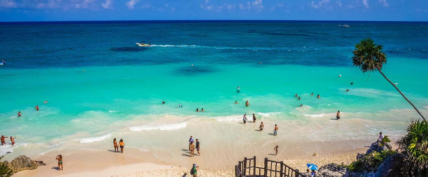 Tulum Turtles Tours we'll see turtles BEST PRICE $75 USD